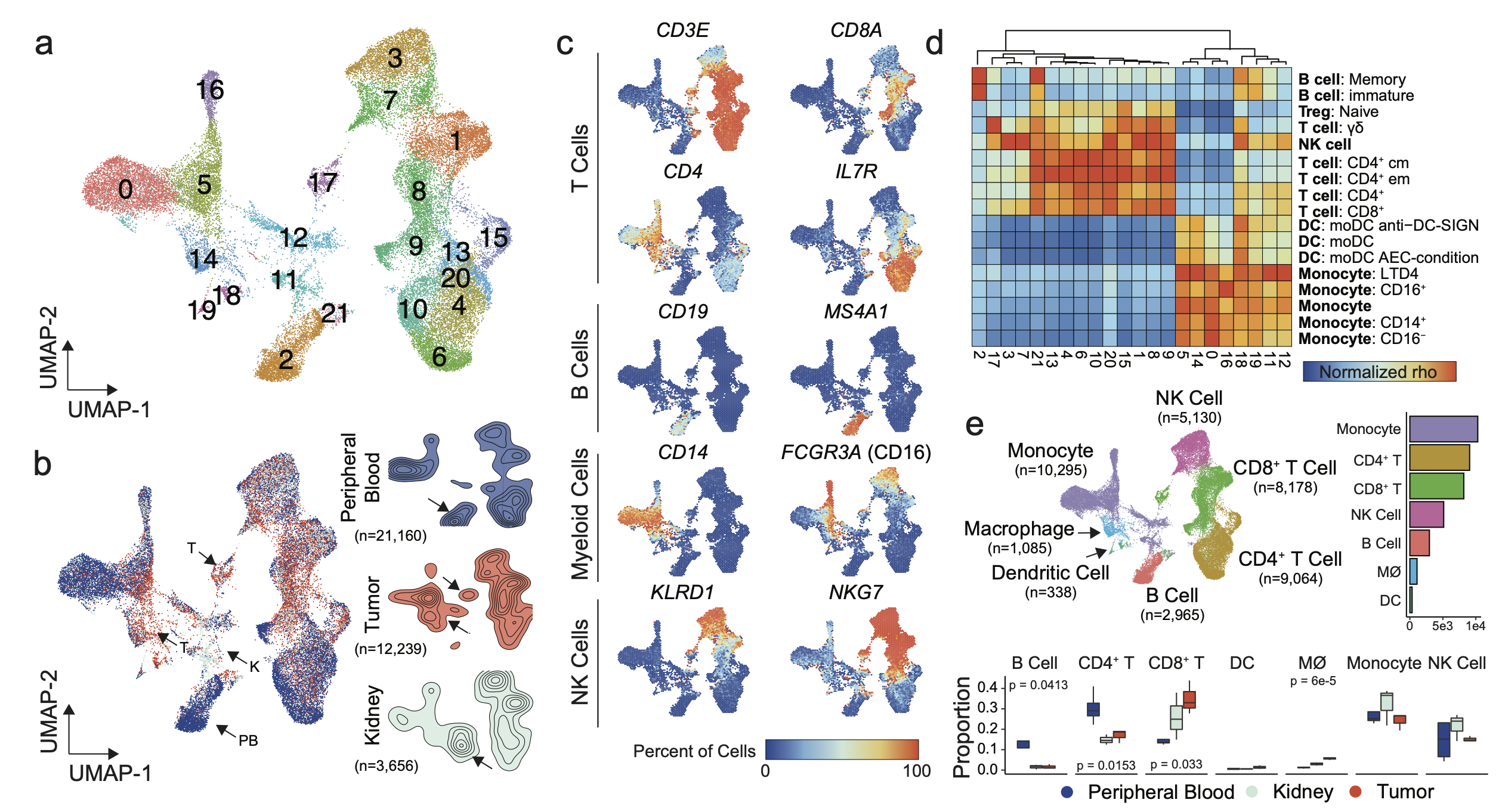 Mapping the immune environment in clear cell renal carcinoma by single ...