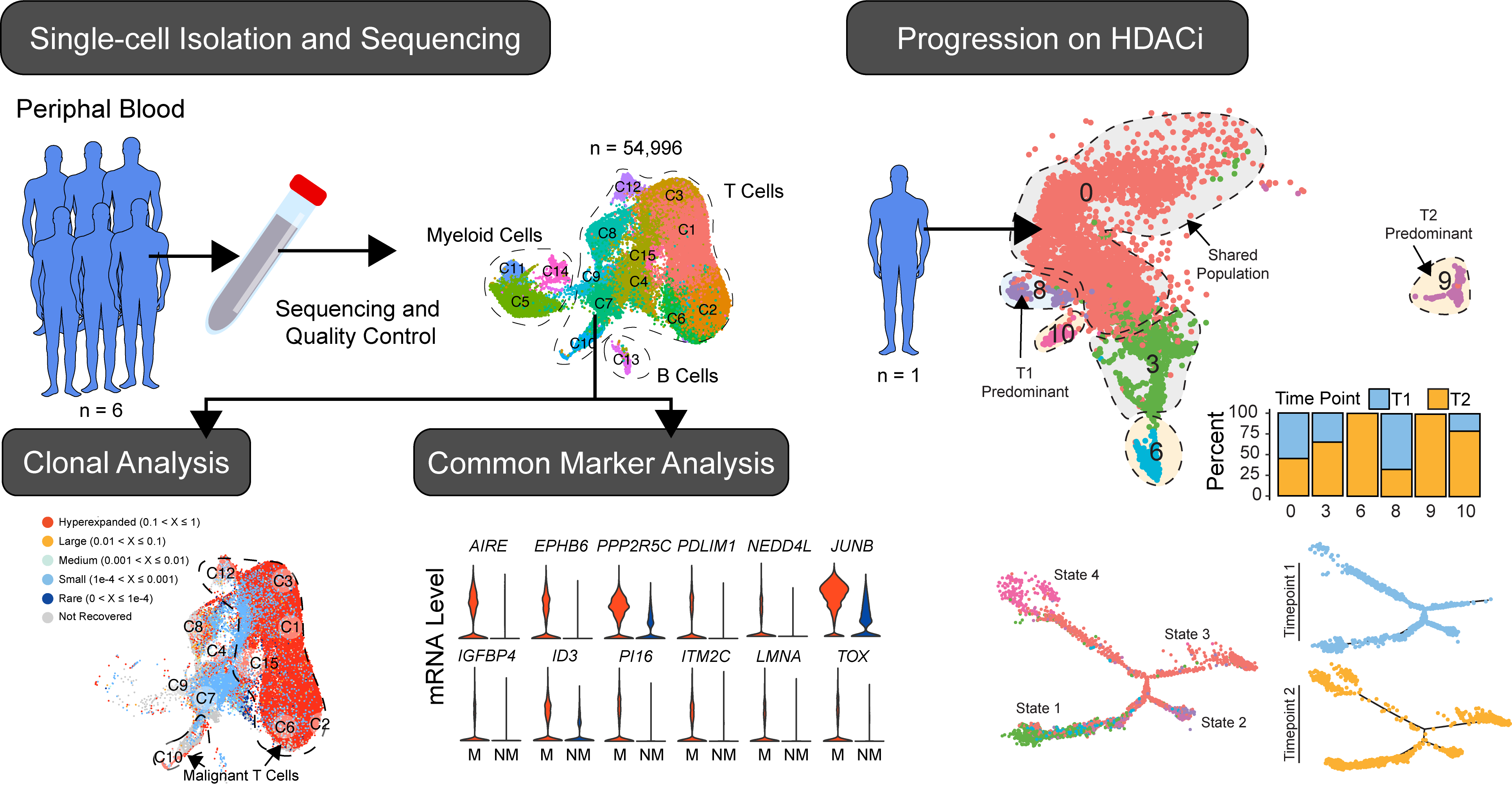 Single-cell analysis of Sézary syndrome reveals novel markers and ...